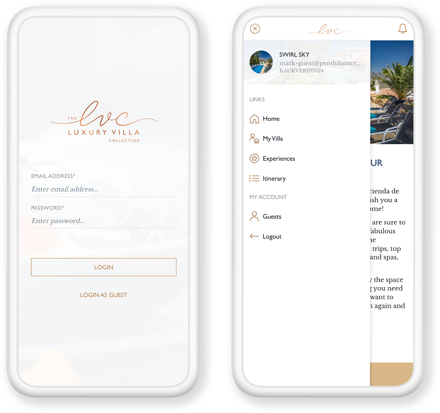 User interface design and development - Pendulum